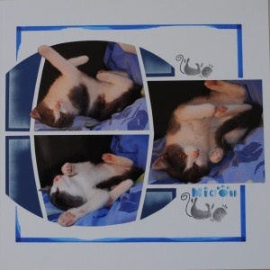 Bottle Duo – GAB 144. Studio ALI 556 | Lets Create With Lyn Holmes – AZZA European Scrapbooking ...