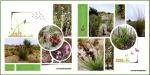 Double-pages | Lets Create With Lyn Holmes – AZZA European Scrapbooking ...