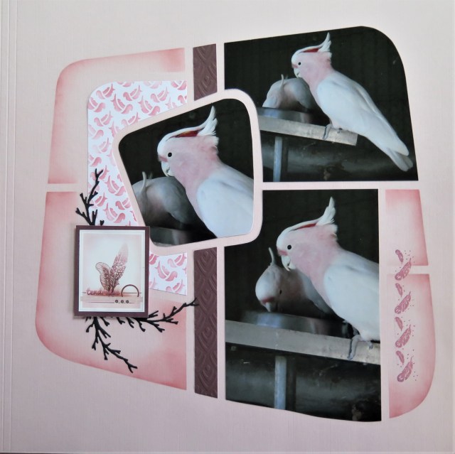 Dallas GAB 766 | Lets Create With Lyn Holmes – AZZA European ...