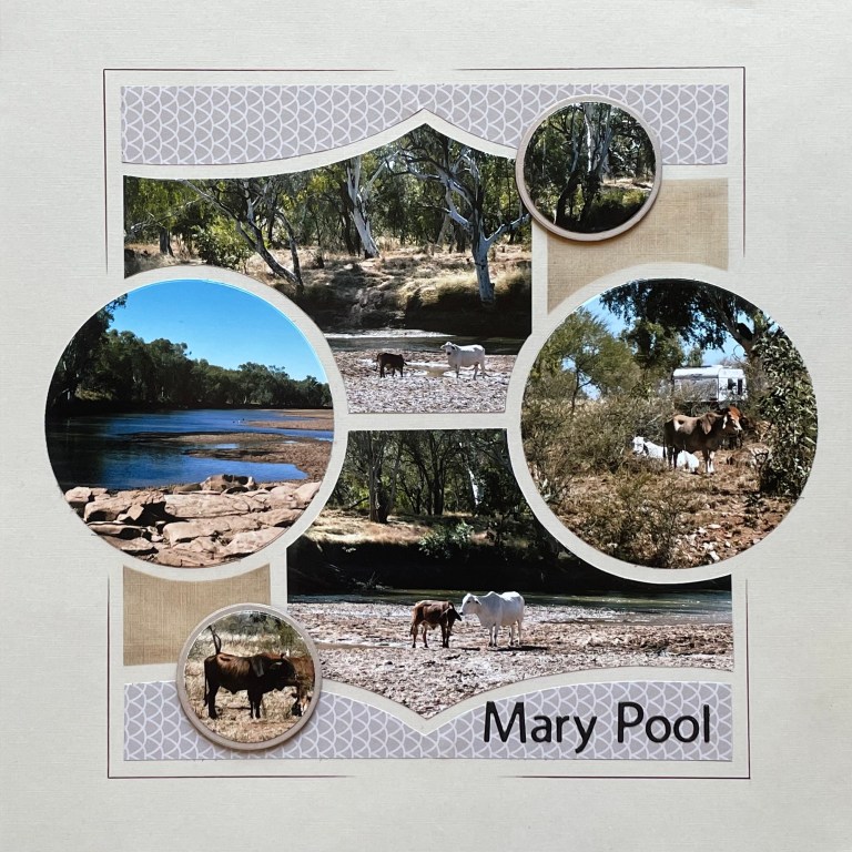 Pretty Shoots in Spring | Lets Create With Lyn Holmes – AZZA European ...